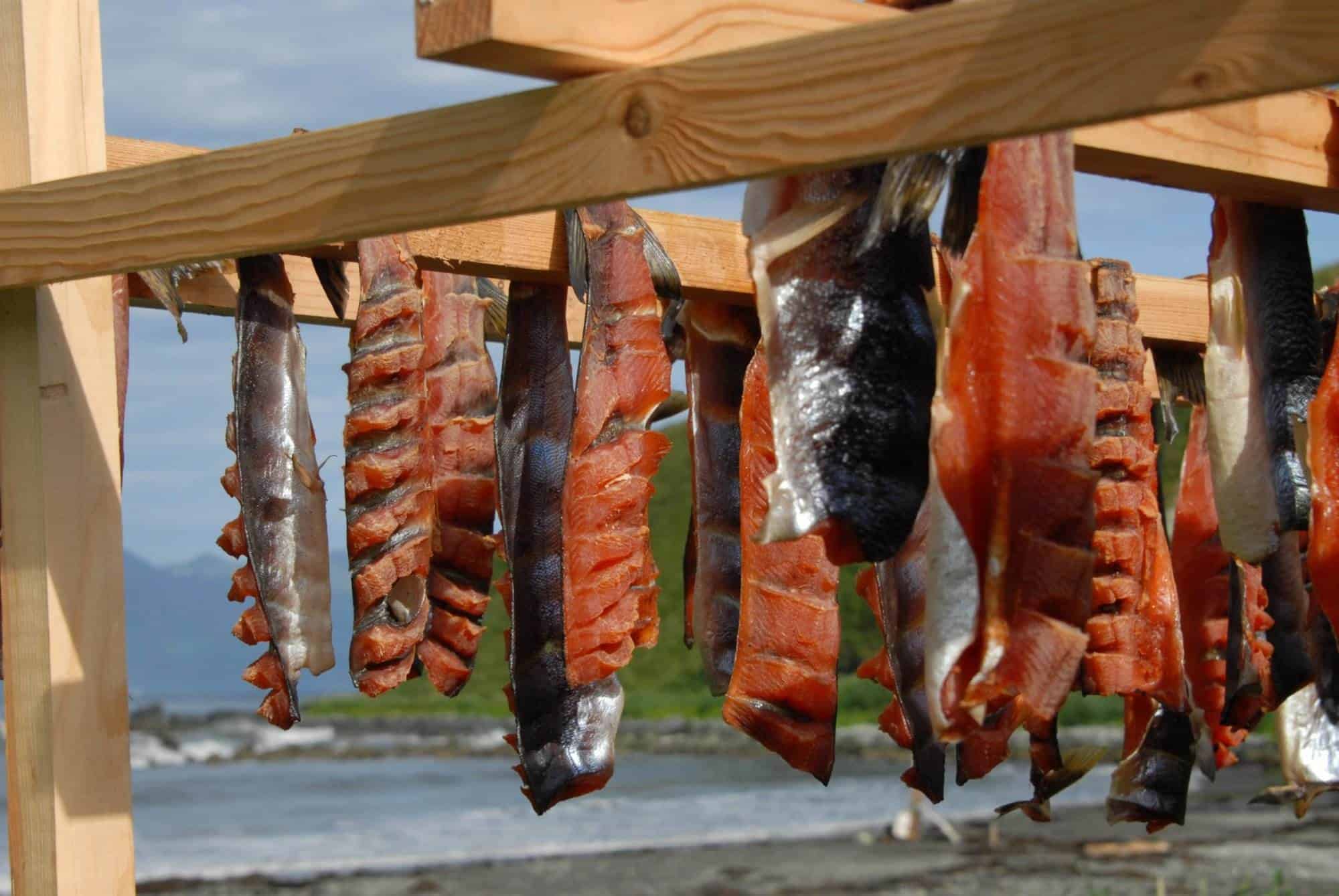 Wellness | Aleutian Pribilof Islands Association